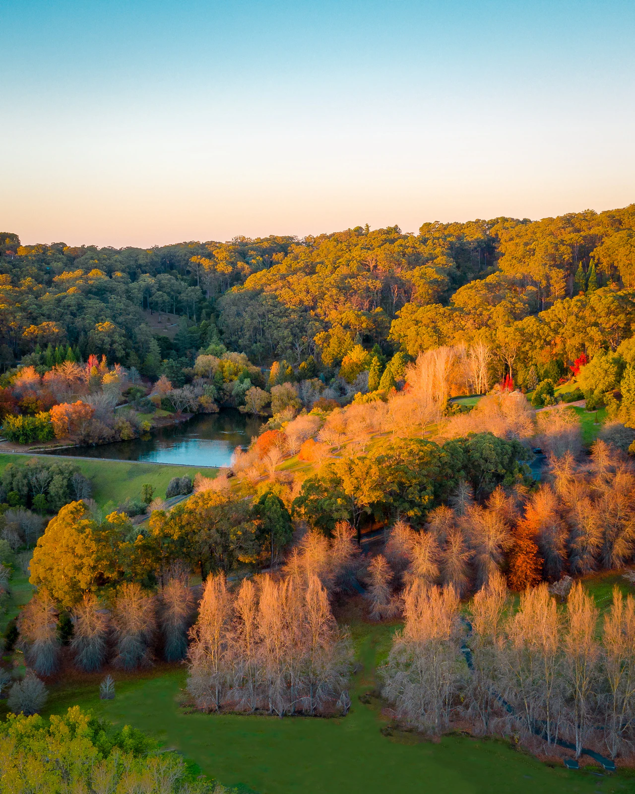 Where to see Austalia's Most Breathtaking Autumn Foliage
