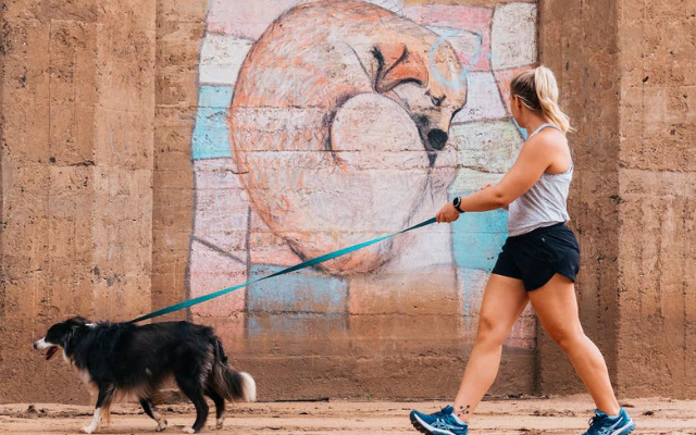 10 of Queensland’s best park runs