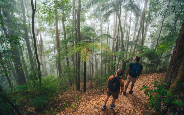 6 Family Friendly Queensland Hikes You Won't Forget