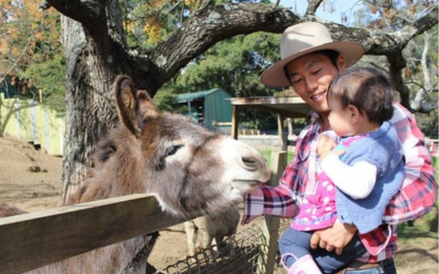 7 NSW Camping Spots You Shouldn't Miss