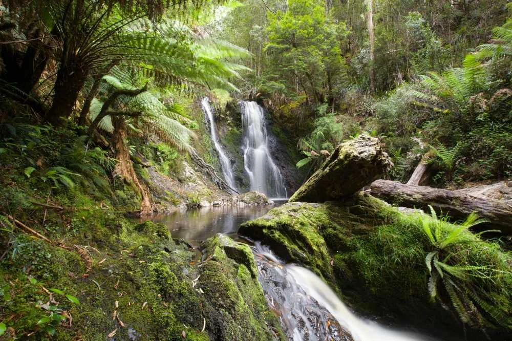 From the picturesque coast to impressive mountain views, immerse ...