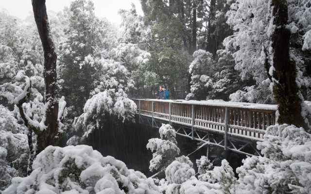 A Tasmania travel itinerary full of must-sees