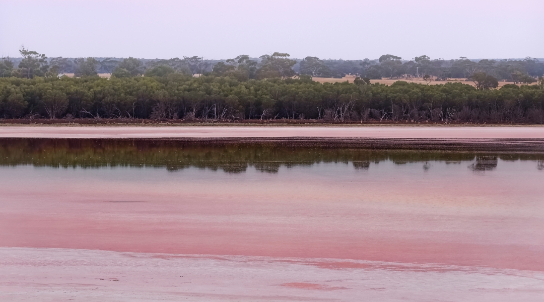 Say G'day to more of Australia with G'day Parks
