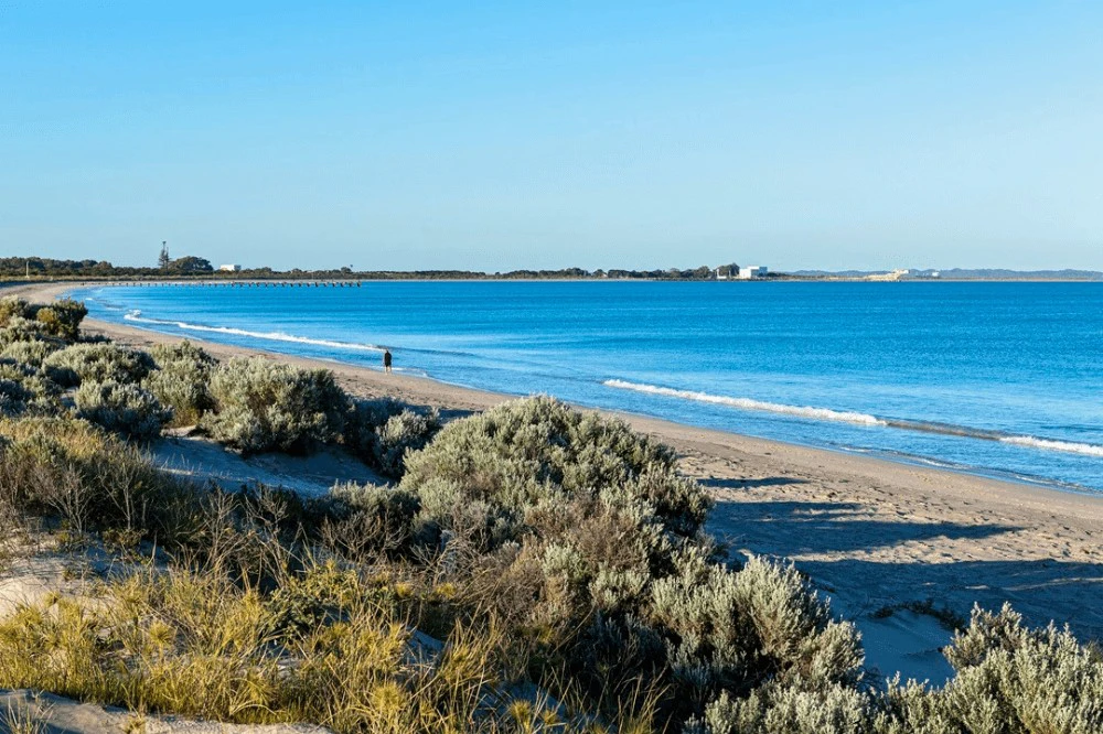 From Vineyards to Coastlines: A Road Tripper’s Guide to Southern WA