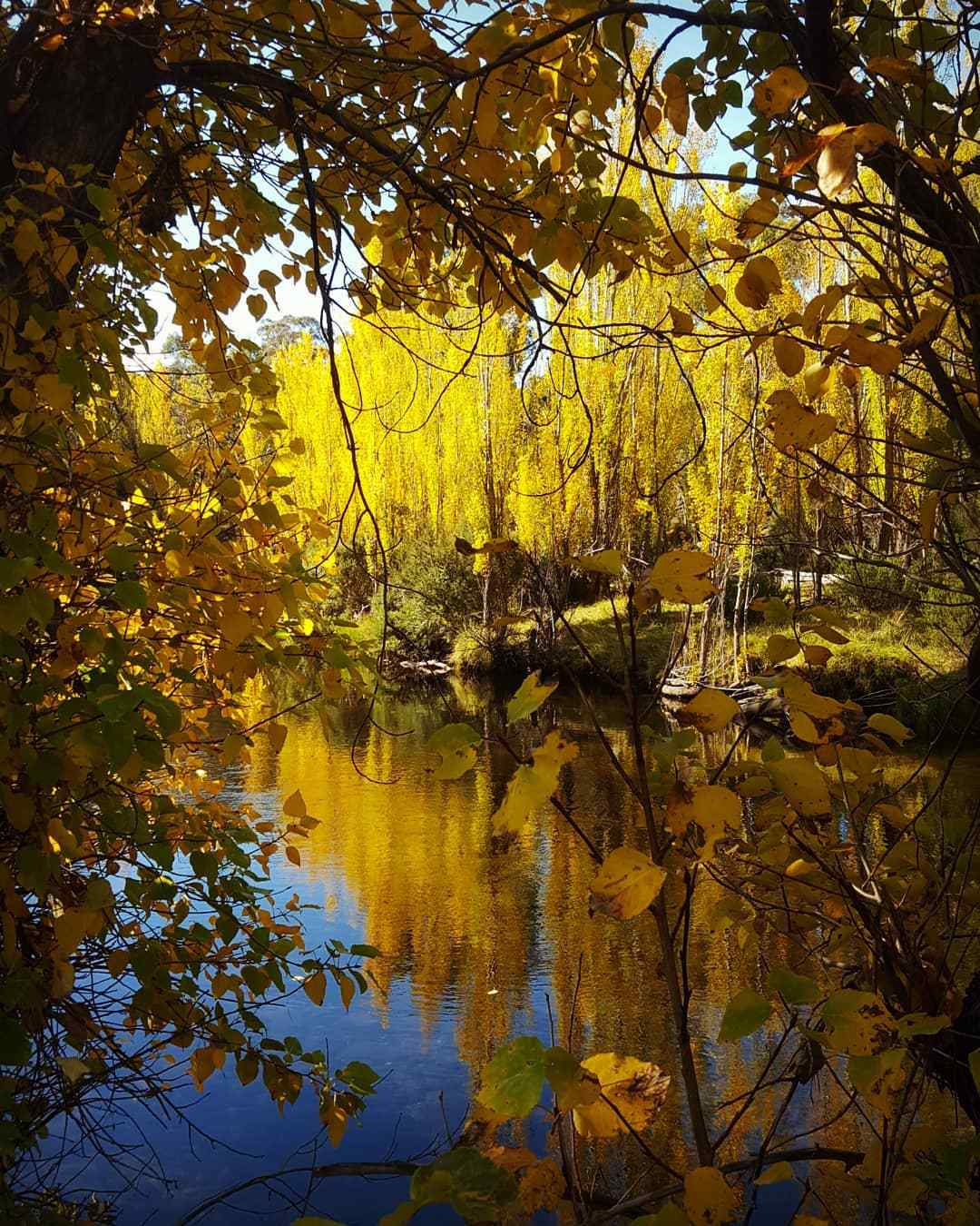 Where to see Austalia's Most Breathtaking Autumn Foliage