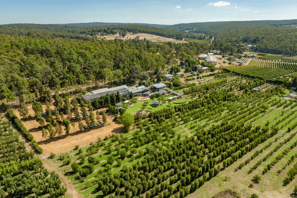 From Vineyards to Coastlines: A Road Tripper’s Guide to Southern WA