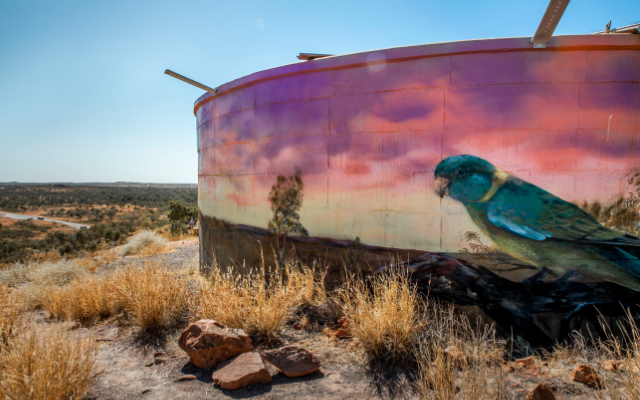 The Overlander's Way: The Queensland Camping Trip Every Aussie Should Take