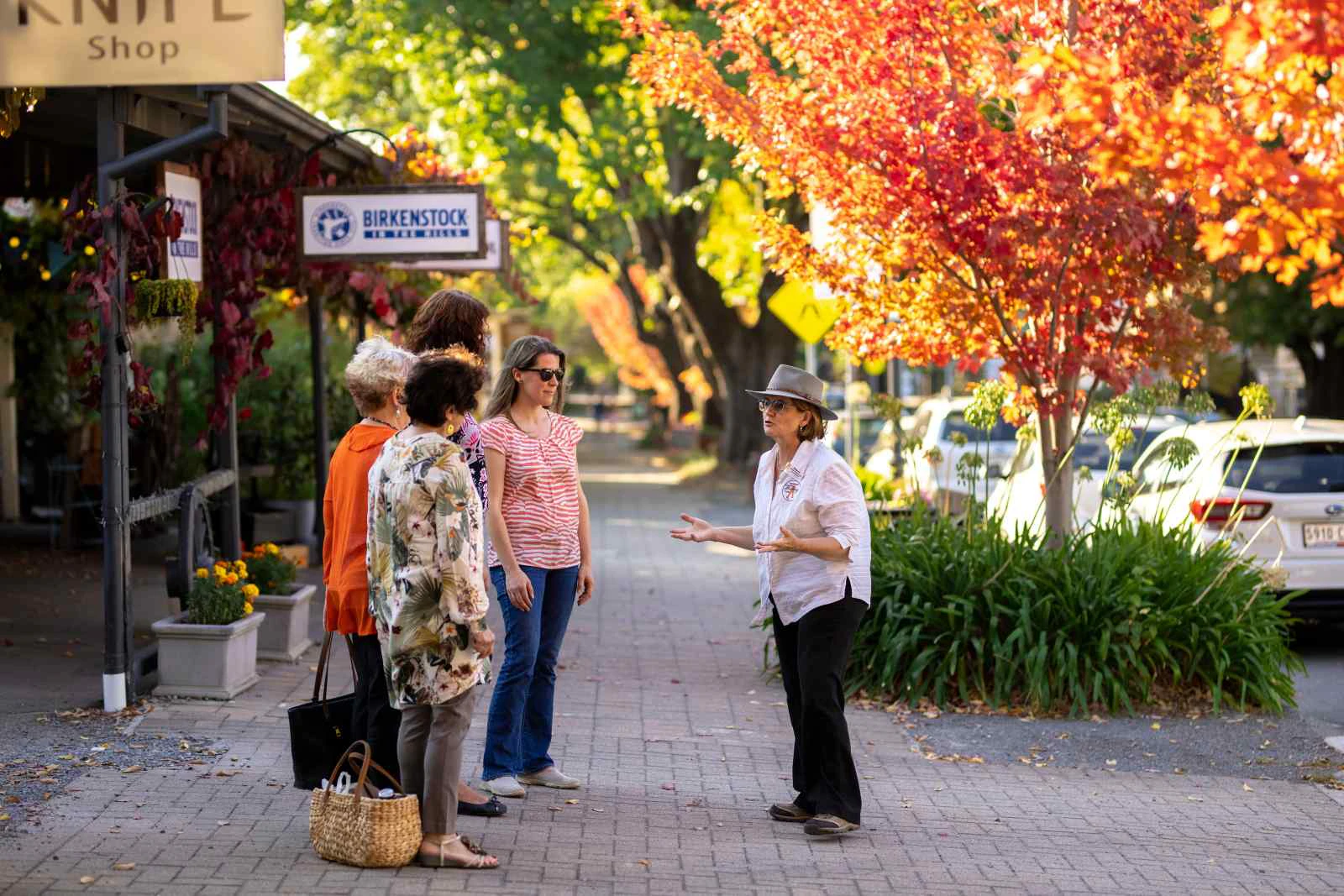 Where to see Austalia's Most Breathtaking Autumn Foliage