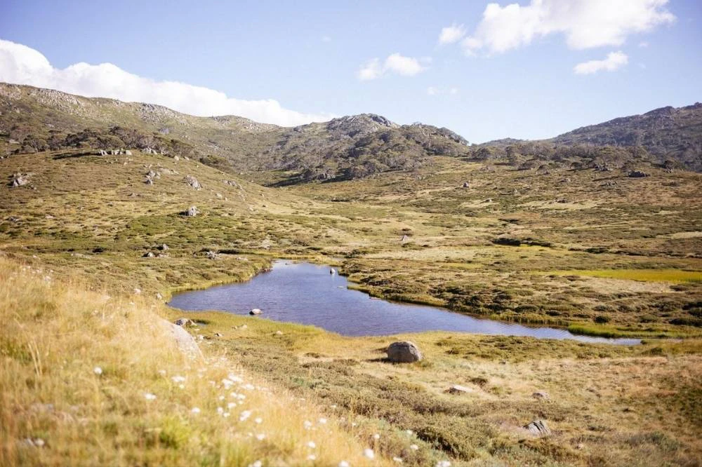 Best Spring Experiences in Australia