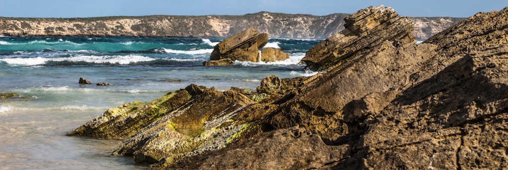 GET WILD IN A REMOTE PARADISE