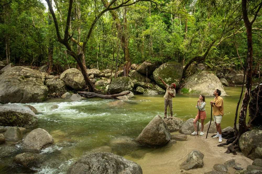 Far Out—How Beautiful is This Journey Through Far North Queensland?