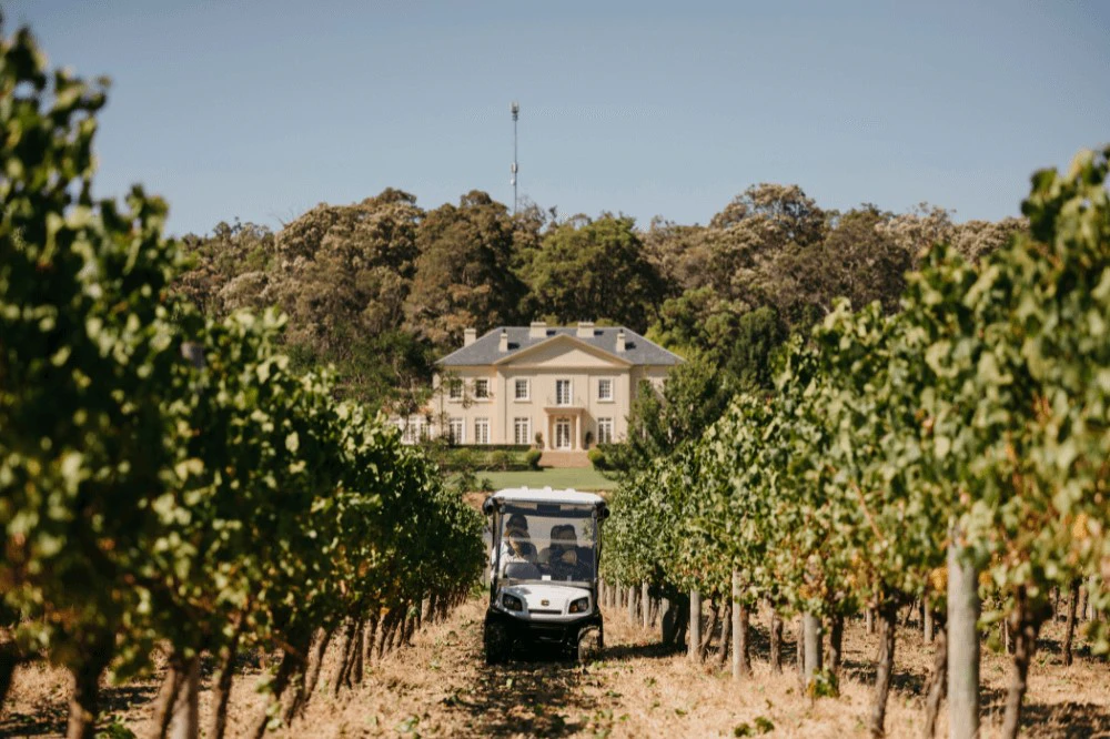 From Vineyards to Coastlines: A Road Tripper’s Guide to Southern WA
