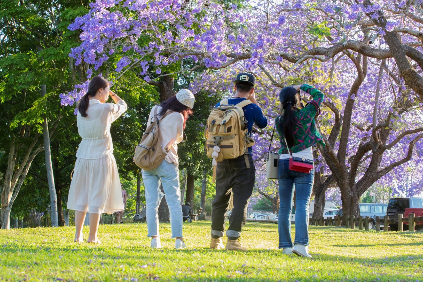 Best Spring Experiences in Australia