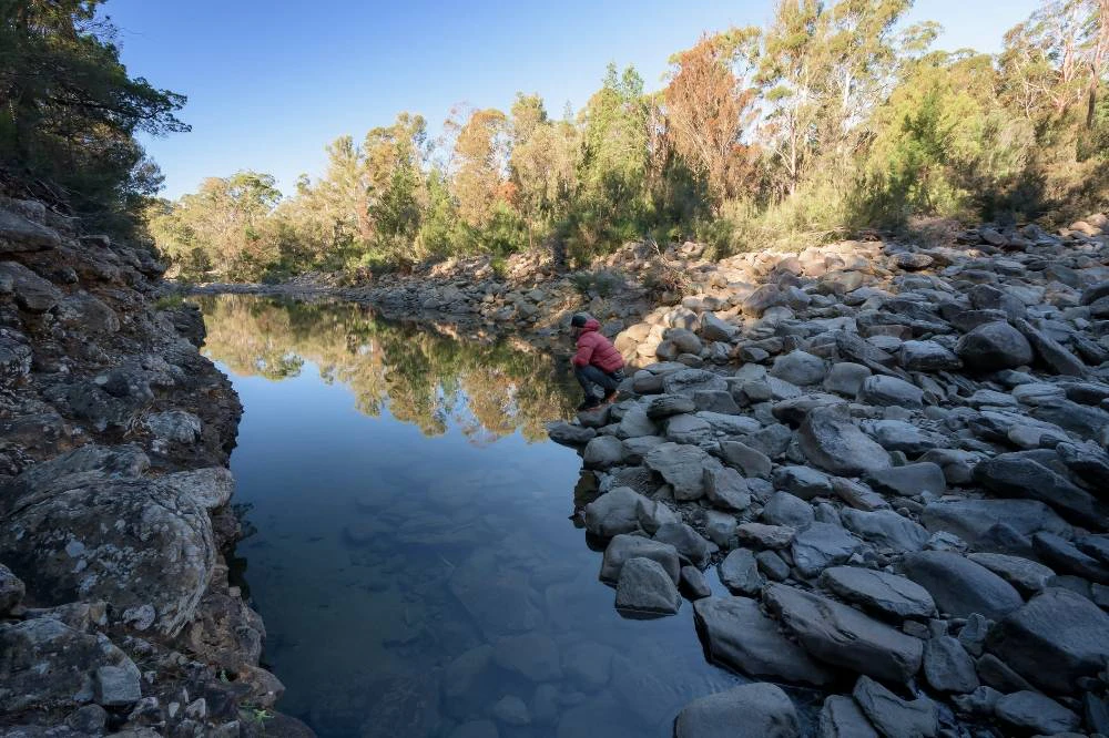 Our Favourite Things to Do in Northern Tasmania This Winter
